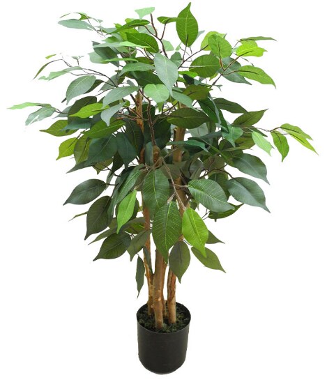 Stromy - Snabytek eshop